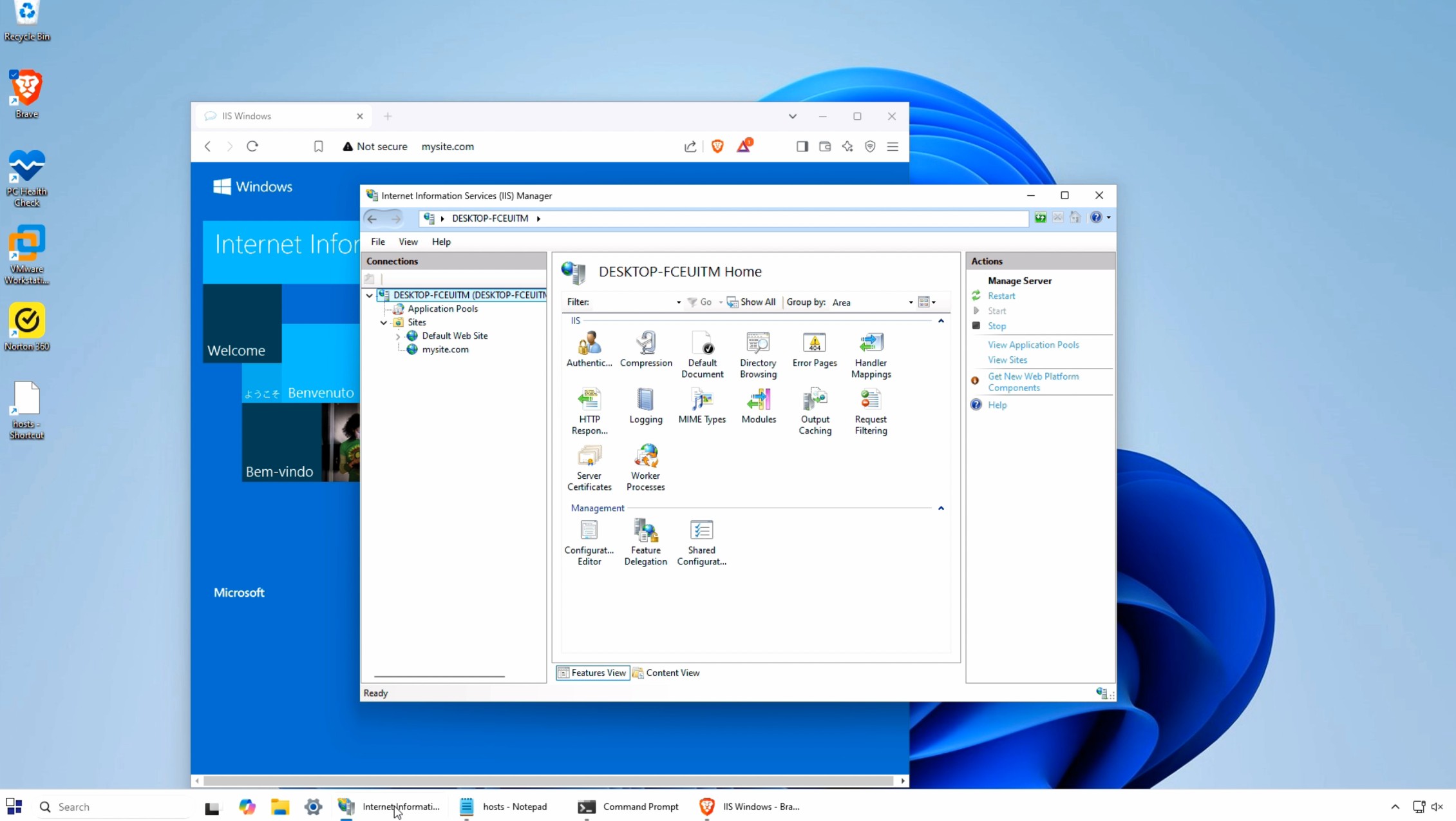 Installing IIS 10 on Windows 11 | Peter Viola